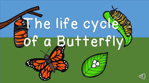 FS2: Class Caterpillars
