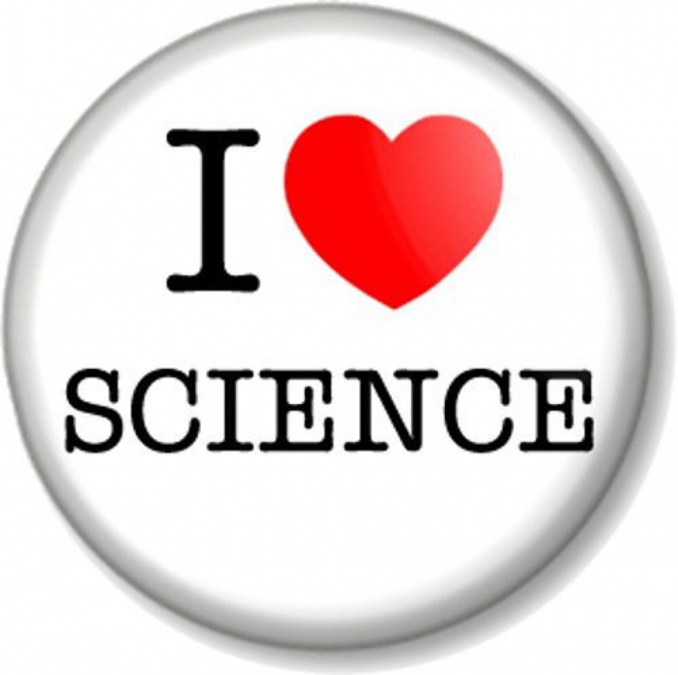 Y1 Science: Parts of a Plant