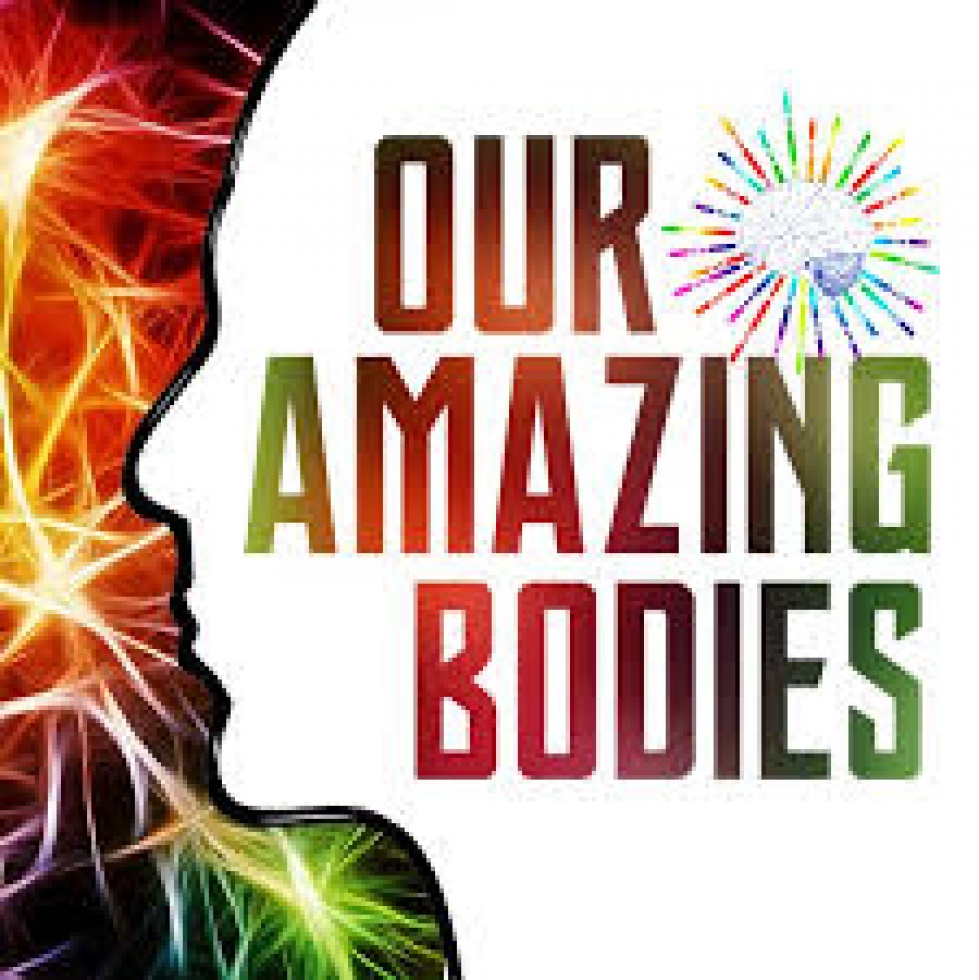 Have You Ever Wondered Why And How Our Bodies Produce