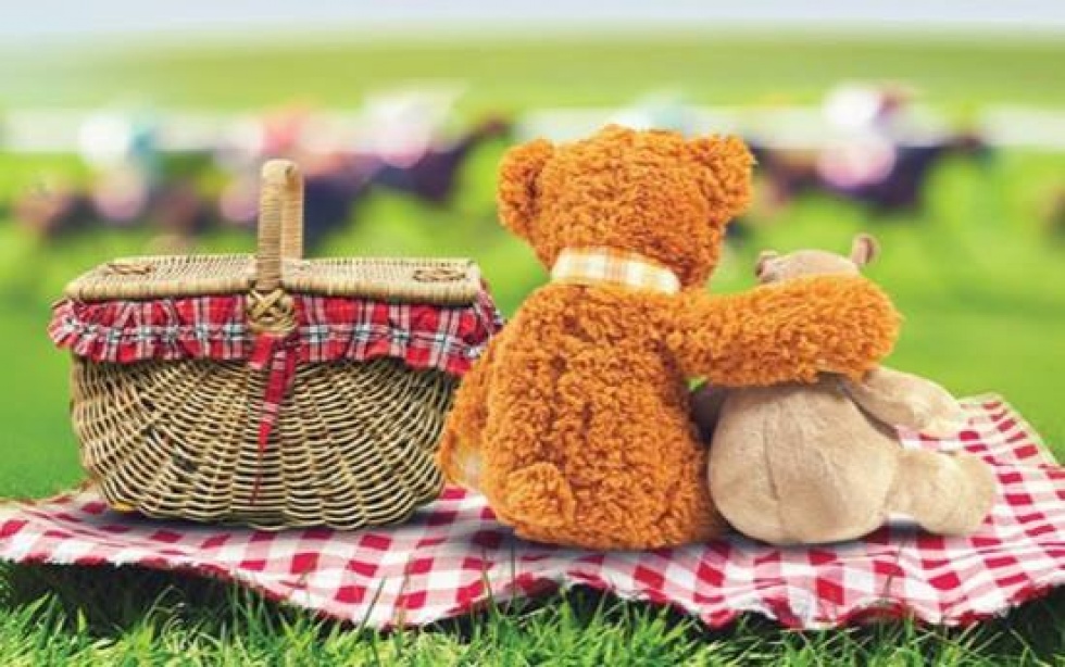 FS2: Teddy Bears' Picnic and Sleepover